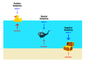 Understanding Buoyancy: How Objects Float and Sink in Fluids - Blue3 ...