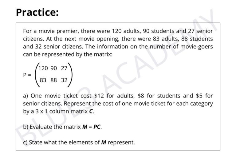 Matrices 101: A Guide for E Math Students - Blue3 Academy