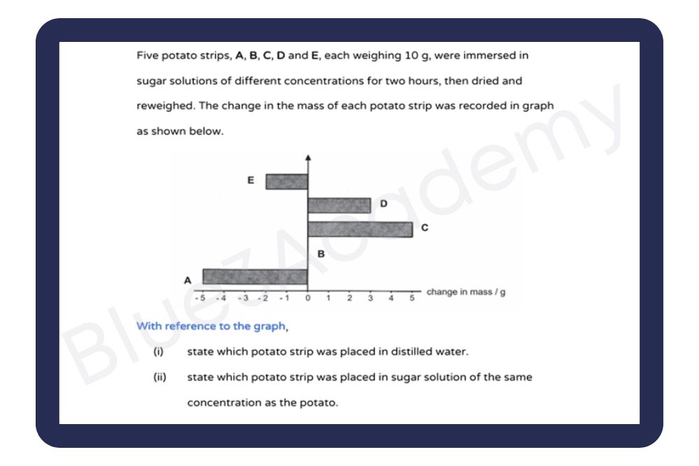 Master 5 Key Science Process Skills for Lower Secondary Science - Blue3 ...